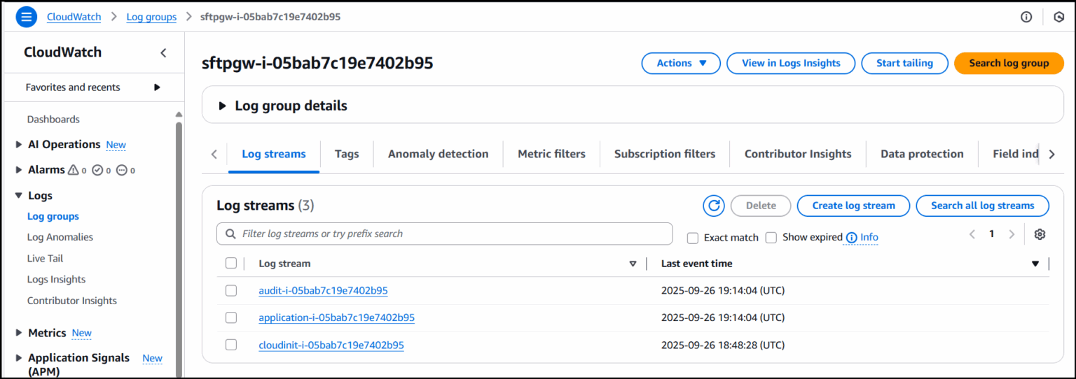 CloudWatch Agent Setup Guide for EC2 Linux - Thorn Technologies