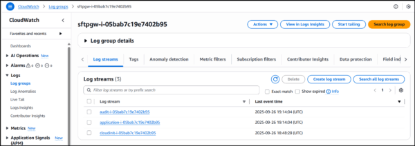 CloudWatch Agent Setup Guide for EC2 Linux - Thorn Technologies